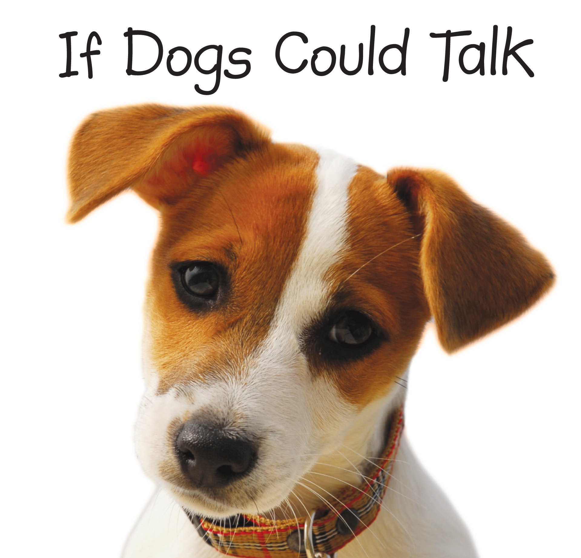 If Pets Could talk : Hilarious Conversation we wish we could have - Petazon