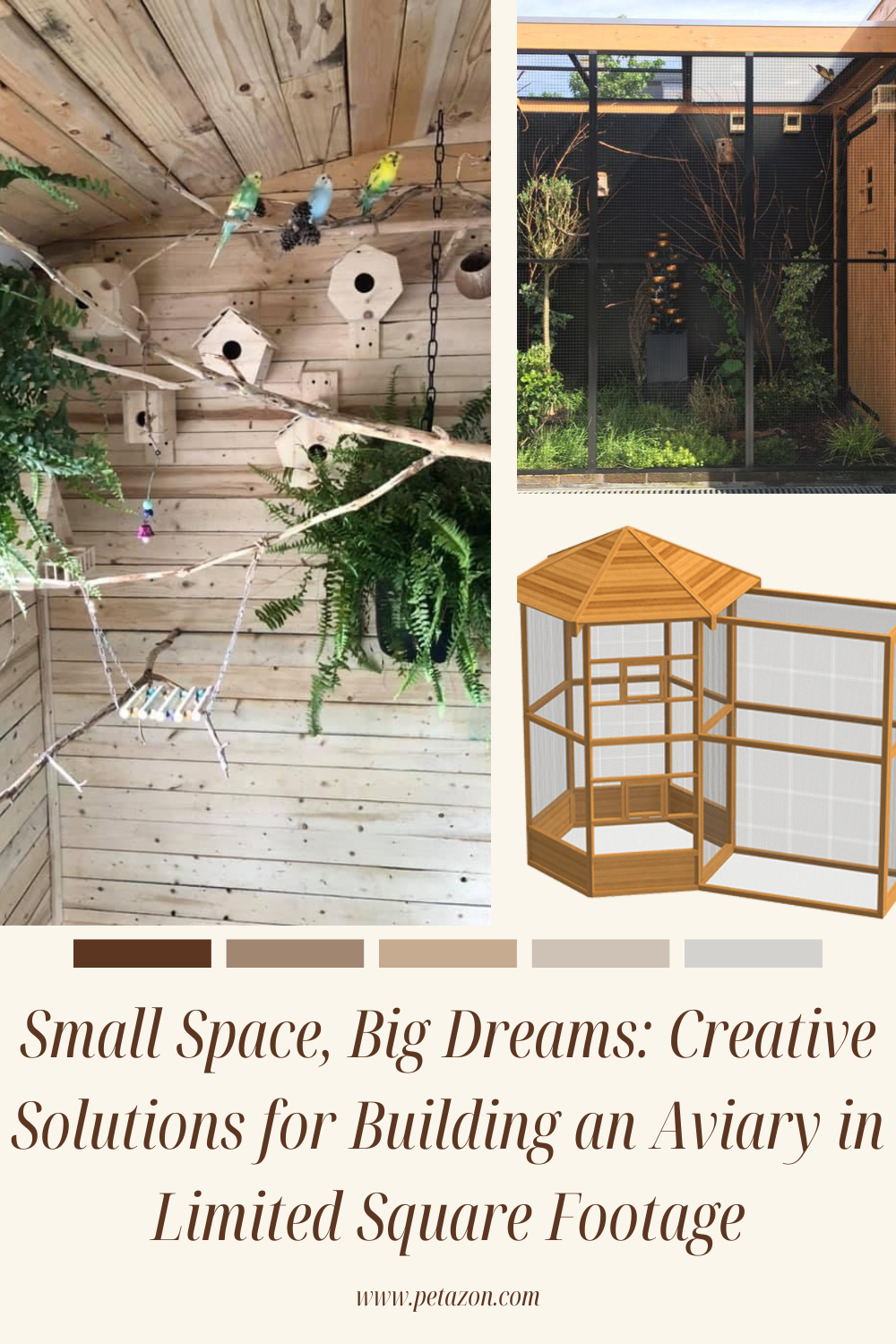 Small Space, Big Dreams: Creative Solutions for Building an Aviary in Limited Square Footage ...